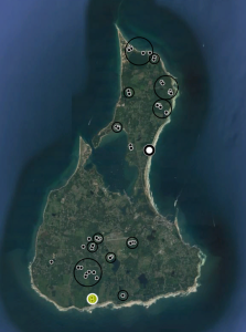 TP | Block Island Moths